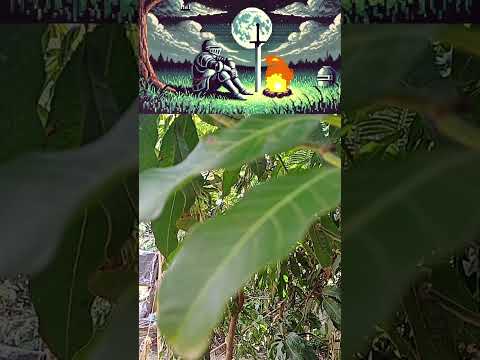 #lofi #pixelart #soundtrack #music #chill #pixelartmusic #gamingmusic #medievalambience #relaxing