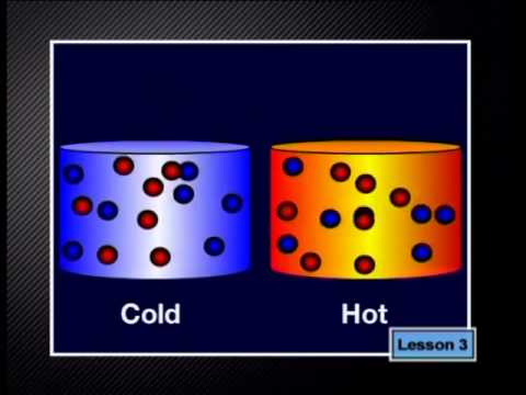03 Reaction Mechanism and Catalysts