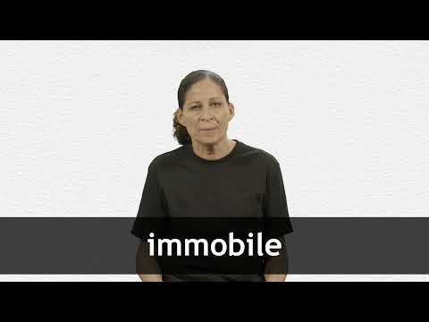 English Translation of “IMMOBILE” | Collins French-English Dictionary