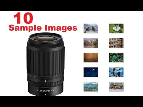 Nikon Z DX 50-250 F4.5-6.3 Sample Images [ Photo Gallery ] Distant Scenes Wildlife, Macro, Portraits