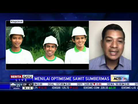 Corporate Action: Menilai Optimisme Sawit Sumbermas #1