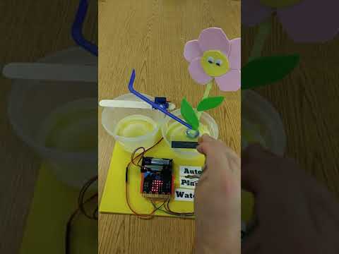 Micro:bit activity - automatic Plant Waterer