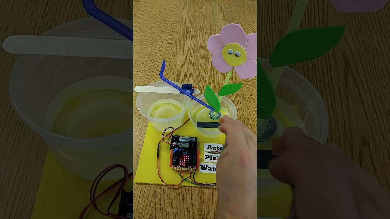 Micro:bit activity - automatic Plant Waterer