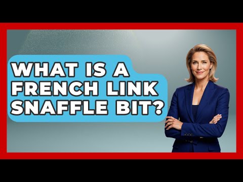 What Is A French Link Snaffle Bit? - The Horses Stable