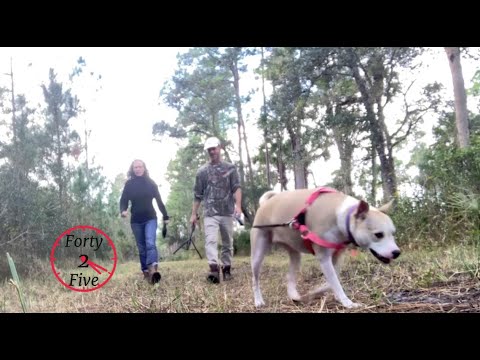 Taking Lilly for a Walk at Tosohatchee WMA