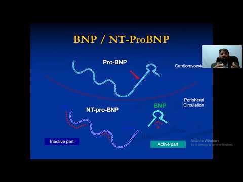 BNP & NT-ProBNP difference in HF(English) Dr.Fawad Farooq