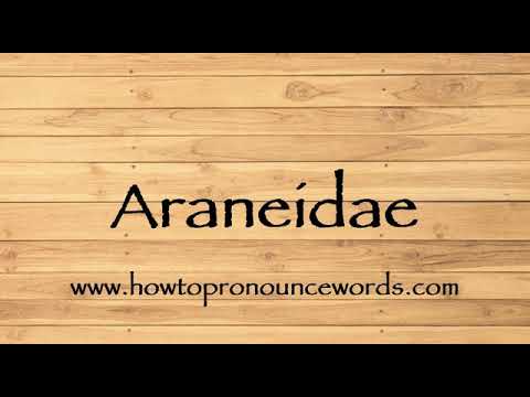 How To Pronounce Araneidae ? How To say Araneidae New Video