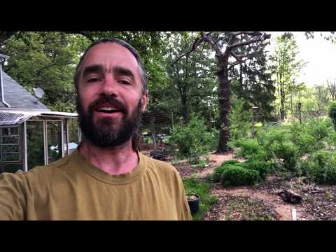 Permaculture Fails!