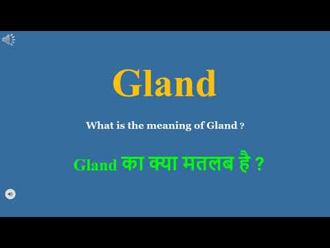 Gland meaning in Hindi | Gland ka kya matlab hota hai | daily use English words
