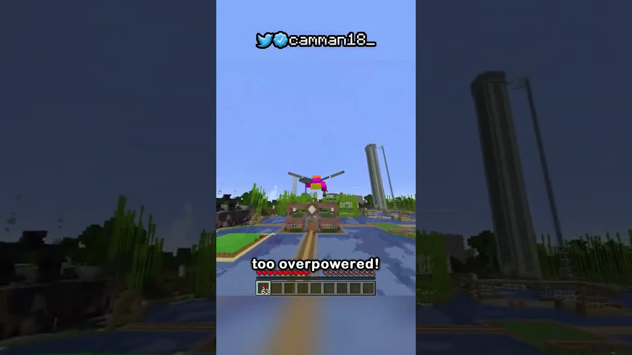 REMOVE THE ELYTRA!