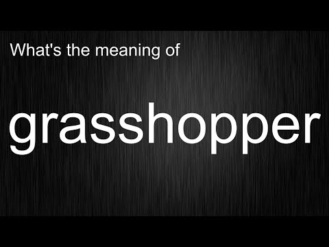 What's the meaning of "grasshopper", How to pronounce grasshopper?