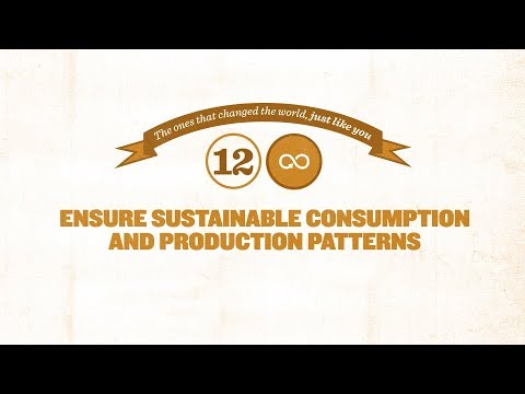 Sustainable Development Goal 12 - Ensure sustainable consumption and production patterns