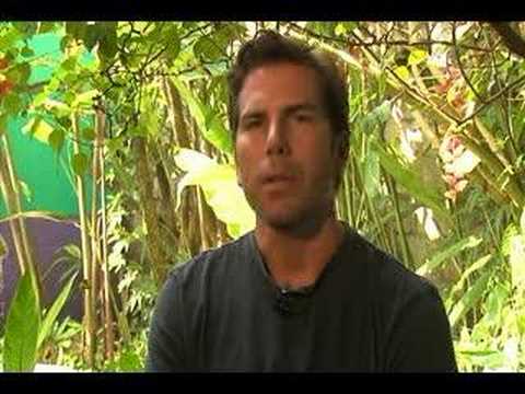 Saving Mono Titi Documentary Promo Trailer (Costa Rica)