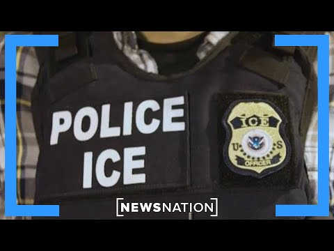 US may lose more immigrants than it gains in 2025: Report | NewsNation Now