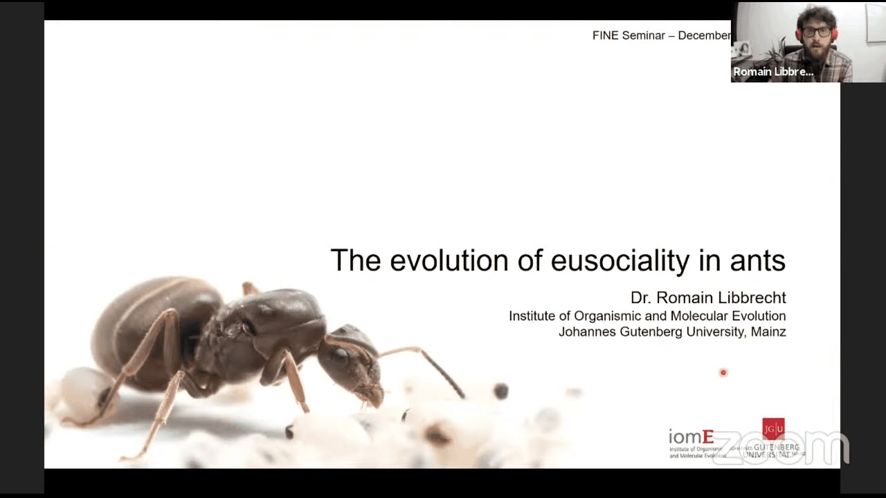 Romain Libbrecht: Evolution of Eusociality in Ants (15 Dec. 2020)