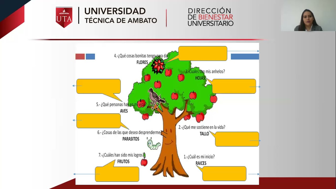 TEMA 5   1  TUTORIA ARBOL DE PROYECTO DE VIDA