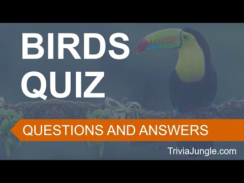 Birds Quiz Questions and Answers | Trivia Jungle