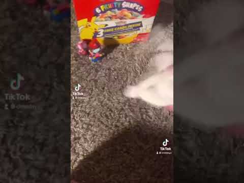 Silly rabbit trix are for kids