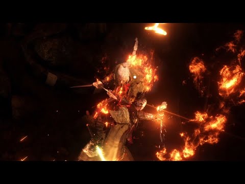Steam Community :: Video :: Sekiro - Roasted Lady Butterfly (No Hit, No ...
