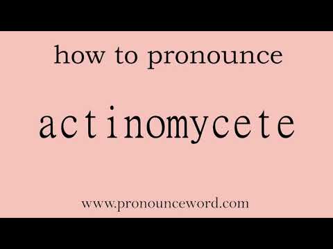 actinomycete: How to pronounce actinomycete in english (correct!).Start with A. Learn from me.