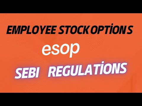 SEBI SBEBASE 2021 Chapter 1 | Understanding the Basics