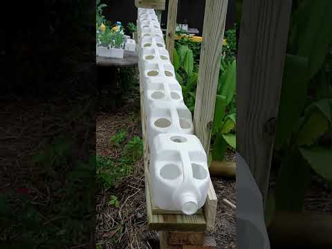 Cheap & Easy Gardening #reducereuserecycle #garden