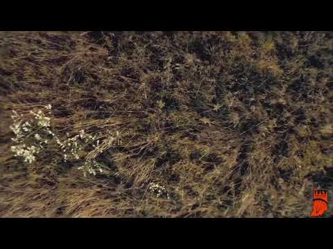 iFly Indiana Official Video