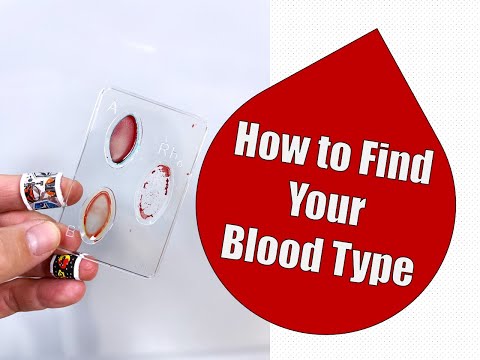 How to Find Your Blood Type