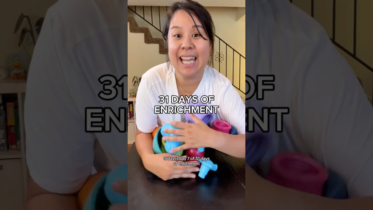 Day 7 of 31 | enrichment games for your dog [FROZEN PUPSICLES]