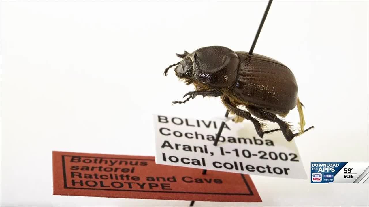 New species named after award-winning Nebraska photographer Joel Sartore