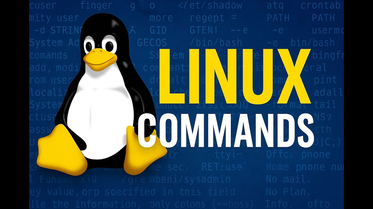 Inside Linux Administration: Users, Time, and the System That Never Sleeps