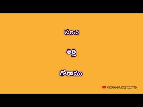 Meaning of Bag in Telugu | Bag in Telugu | Bag