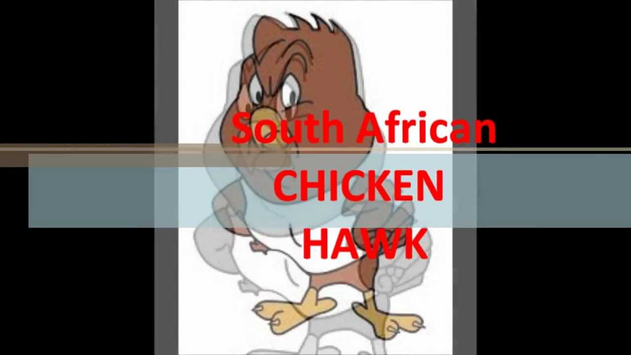 OSCAR THE CHICKENHAWK