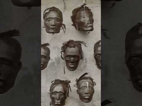 Trophy Heads Of The Māori #shorts