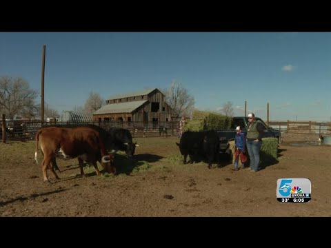 Pueblo Food Project