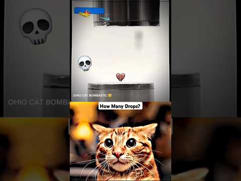 "SATISFIED SHORTS 2025" ???? #trending #latest #popular |4K SHORTS | OHIO CAT BOMBASTIC