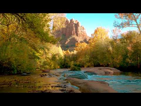 Beautiful Autumn Rivers