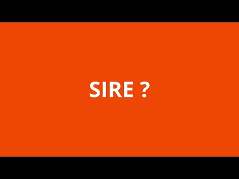 SIRE | MEANING | IMPROVE VOCAB