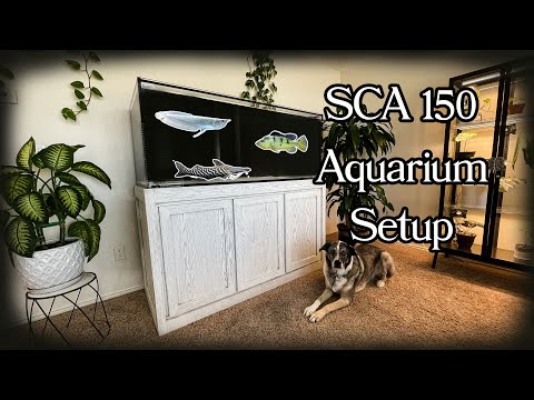 SCA 150 Aquarium Unboxing/Setup