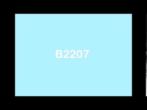 B2207