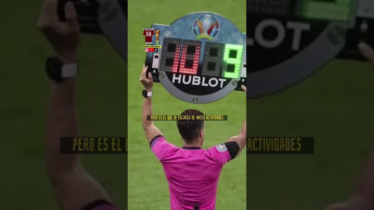 THE DAY A FAN REPLACED A REFEREE IN AN OFFICIAL #FOOTBALL MATCH | #FIFA #SHORTS
