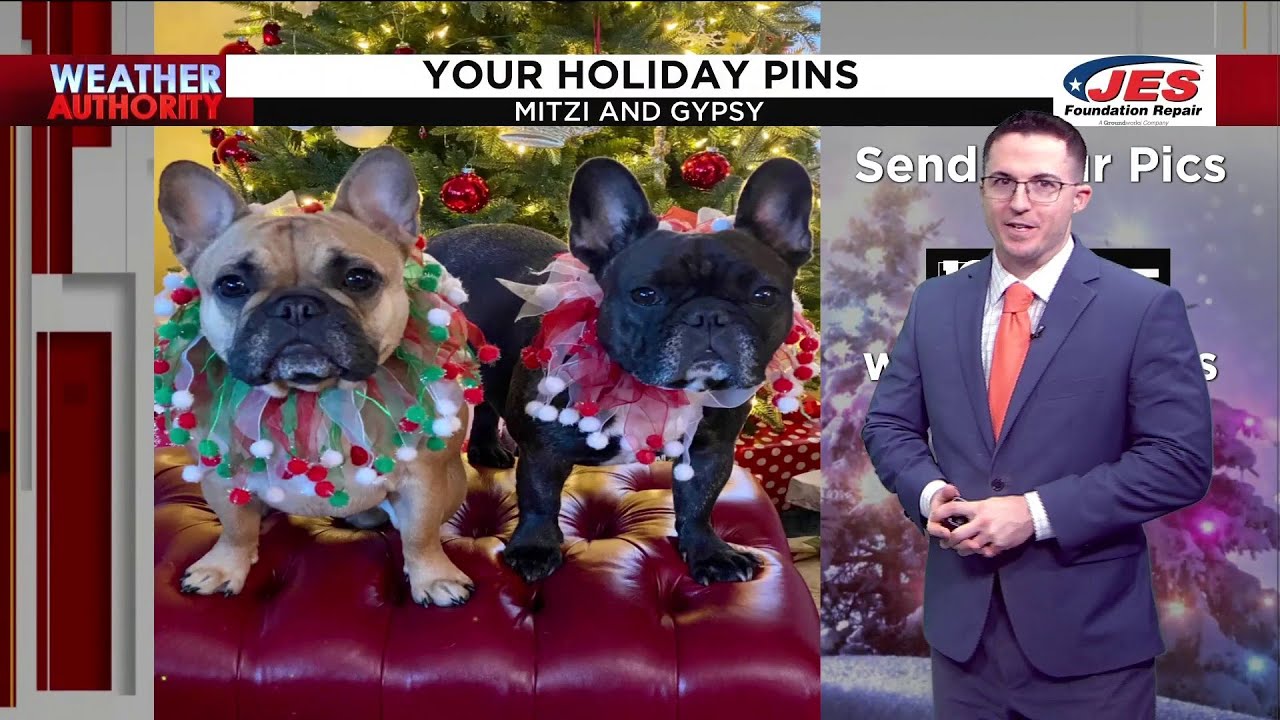 Dec. 3, 2023 Picture of the Day