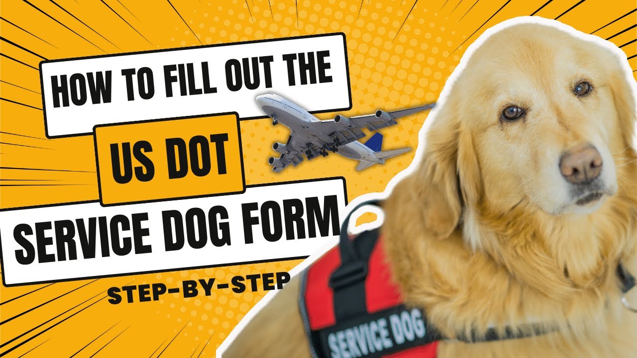 DOT service animal air transportation form