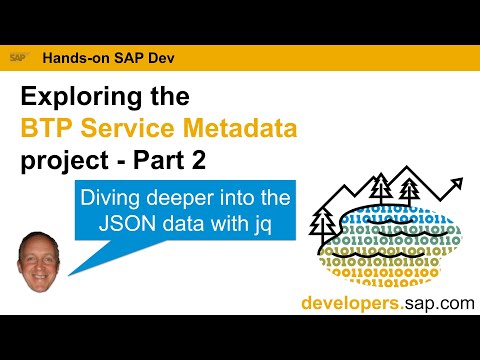 Exploring the BTP Service Metadata project - Part 2