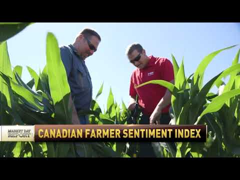 Market Day Report, May 9, 2024: Canadian Farmer Sentiment with Shaun Haney