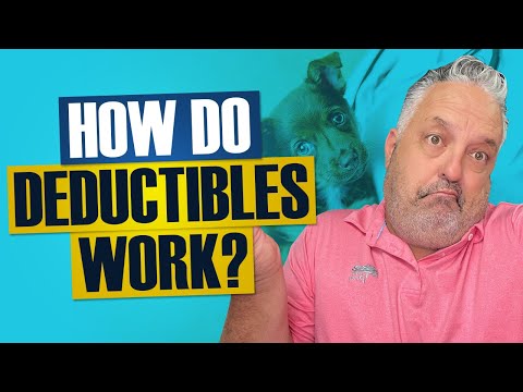How do deductibles work with Pet Health Insurance