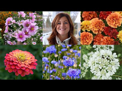 10 of the Easiest Annual Flowers to Start From Seed! ???????????? // Garden Answer