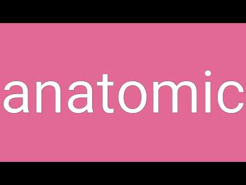 Anatomic Definition & Meaning
