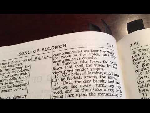 Church Bible Publishers, Classic, Red Letter Scofield - Pen Mark Effects