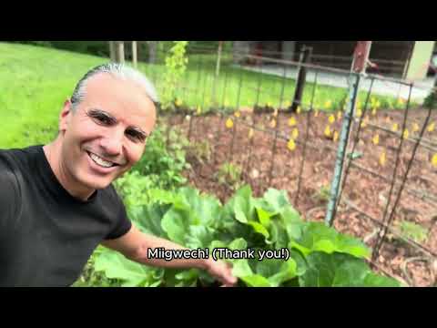 Zhiiwibag = Rhubarb (literally a "tart sprout")